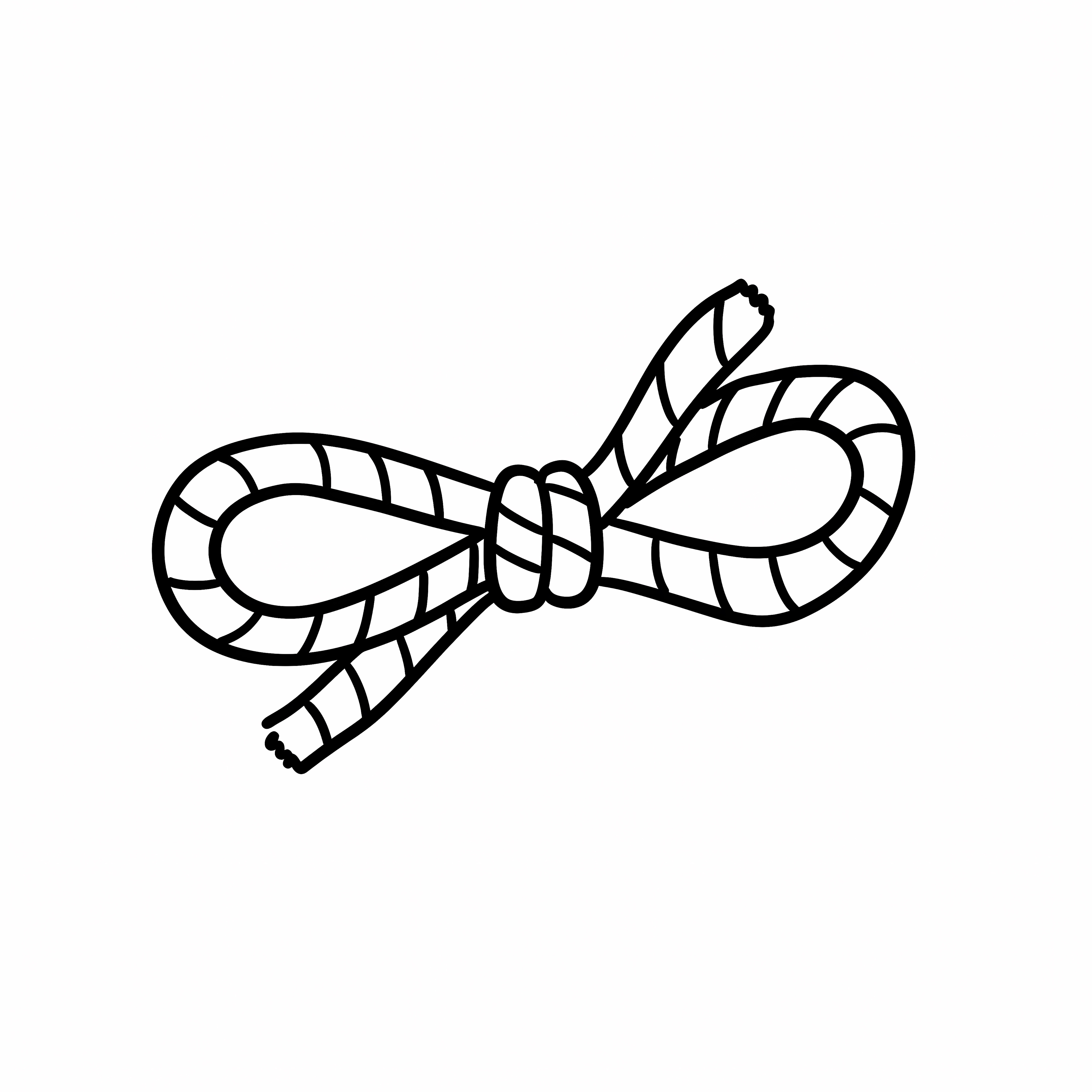 Bowline Knot Illustration Illustration on Lummi