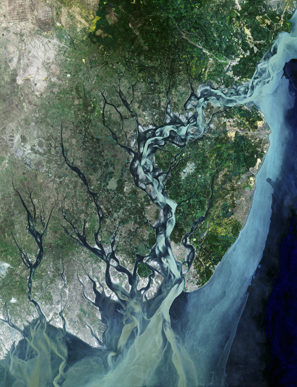 River Delta Satellite View Photo on Lummi