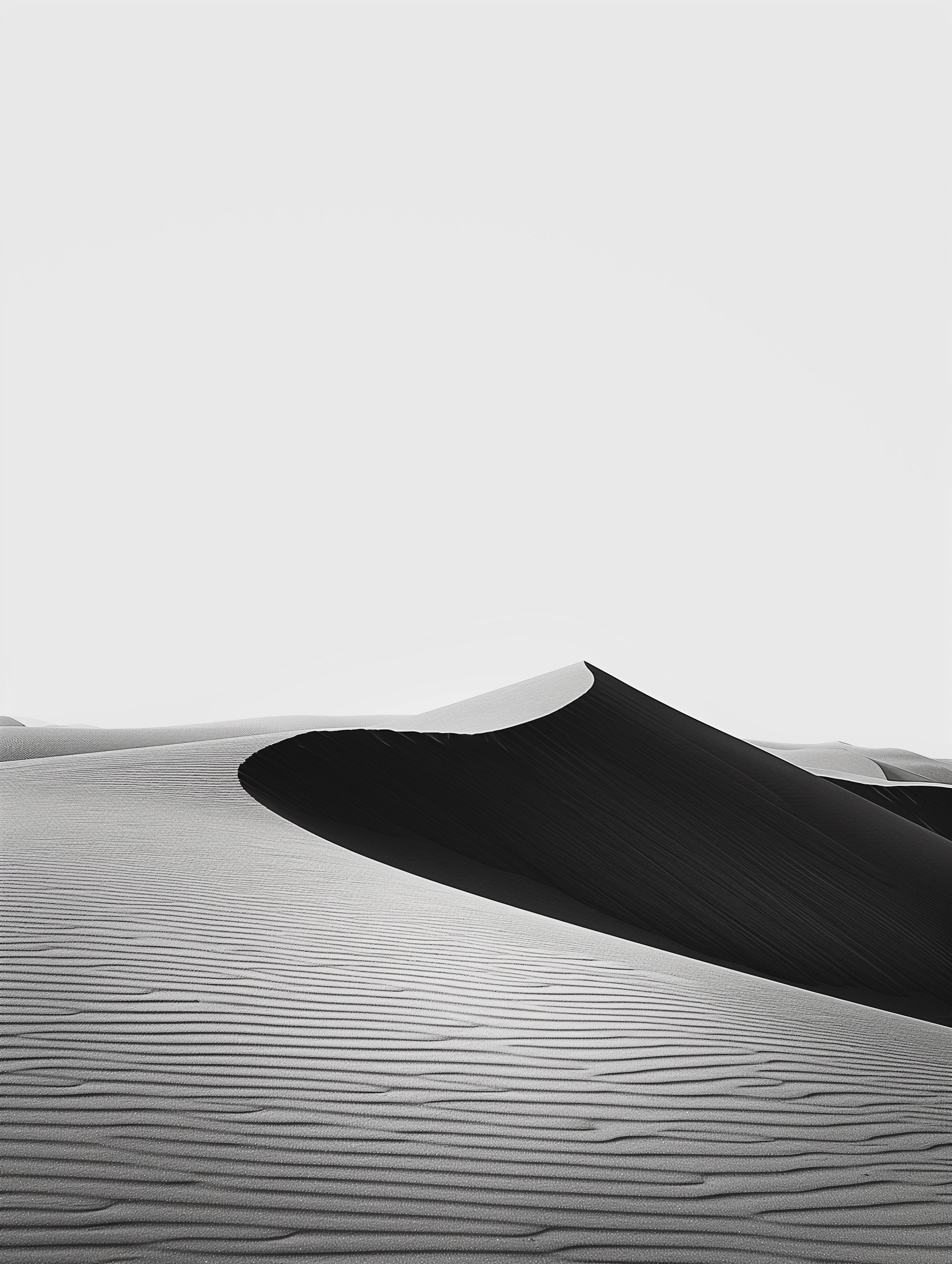Monochromatic Desert Dunes Photo on Lummi