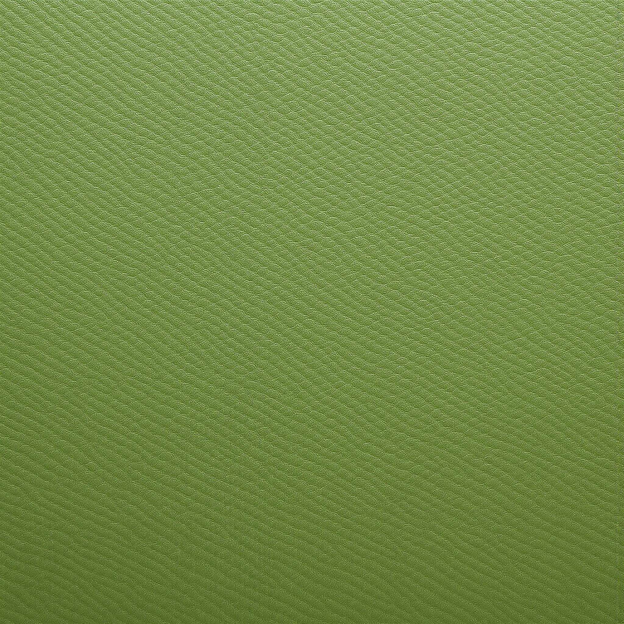 Textured Green Surface Photo on Lummi