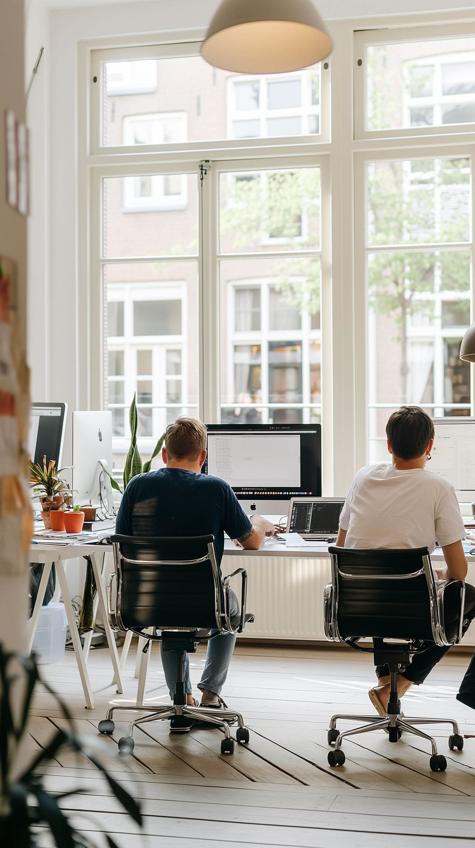 Serene Office Setting with Two Men Working Photo on Lummi