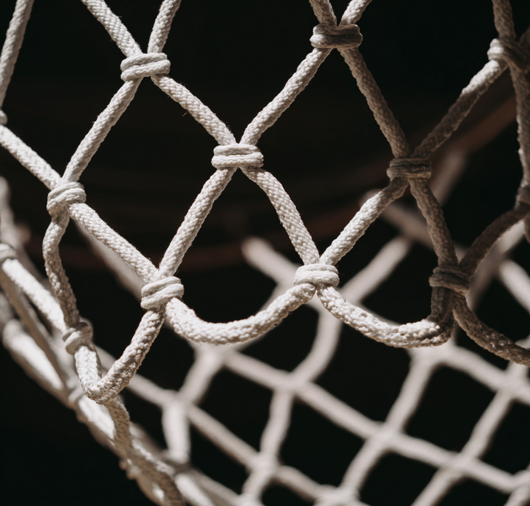 Intricate Fiber Net Photo on Lummi