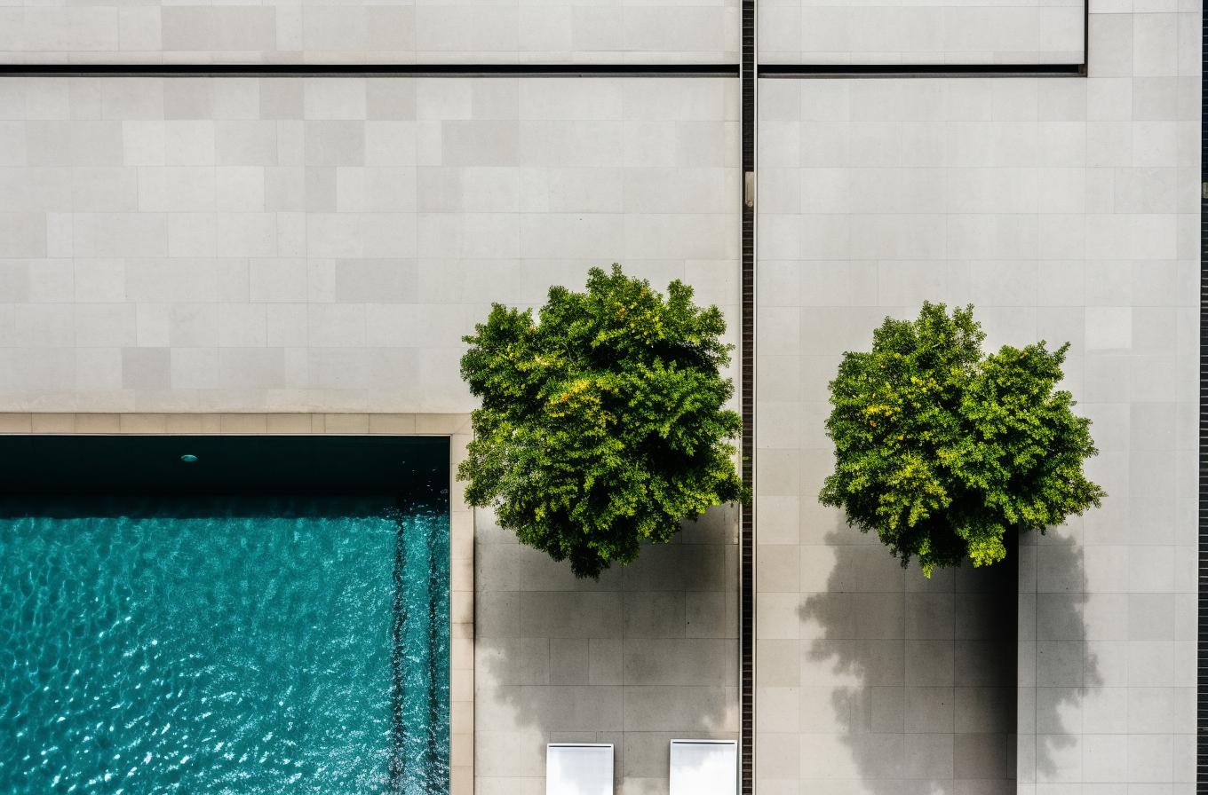 Symmetry in Symbiosis: Trees and Facade Photo on Lummi