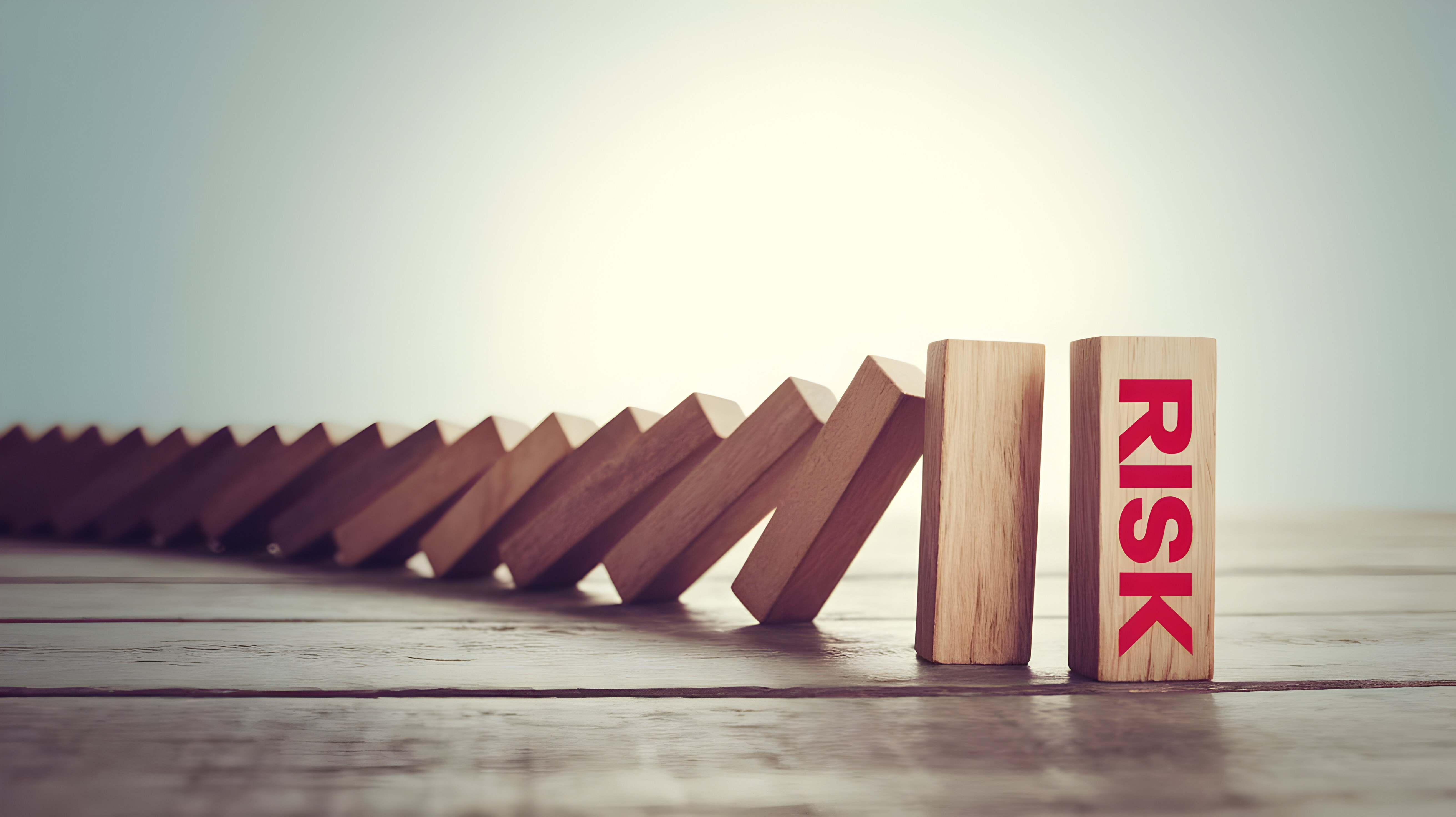 Domino Risk Management Photo on Lummi